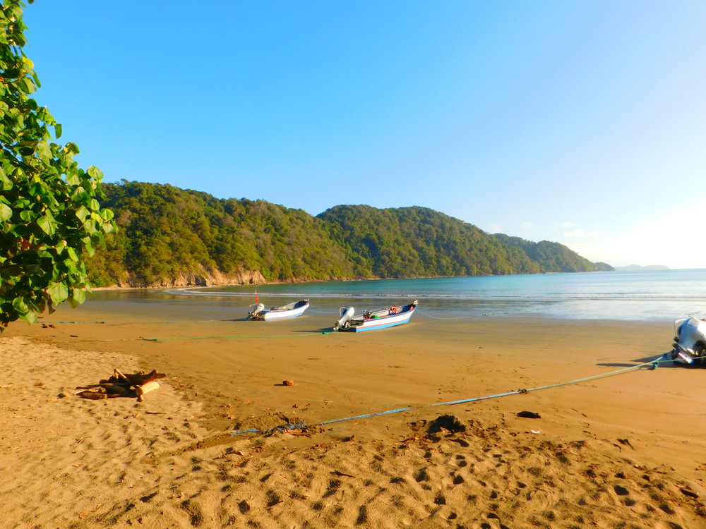 Rifugio nazionale della fauna selvatica di Curú - Visita Costa Rica