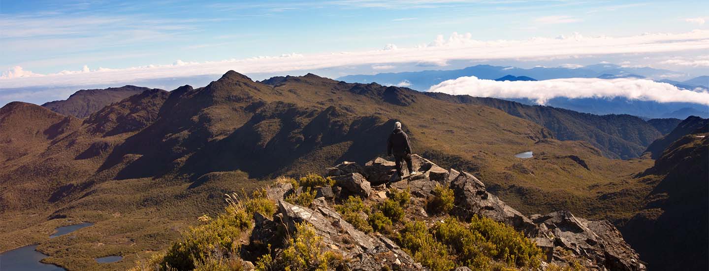 Chirripó National Park - Visit Costa Rica