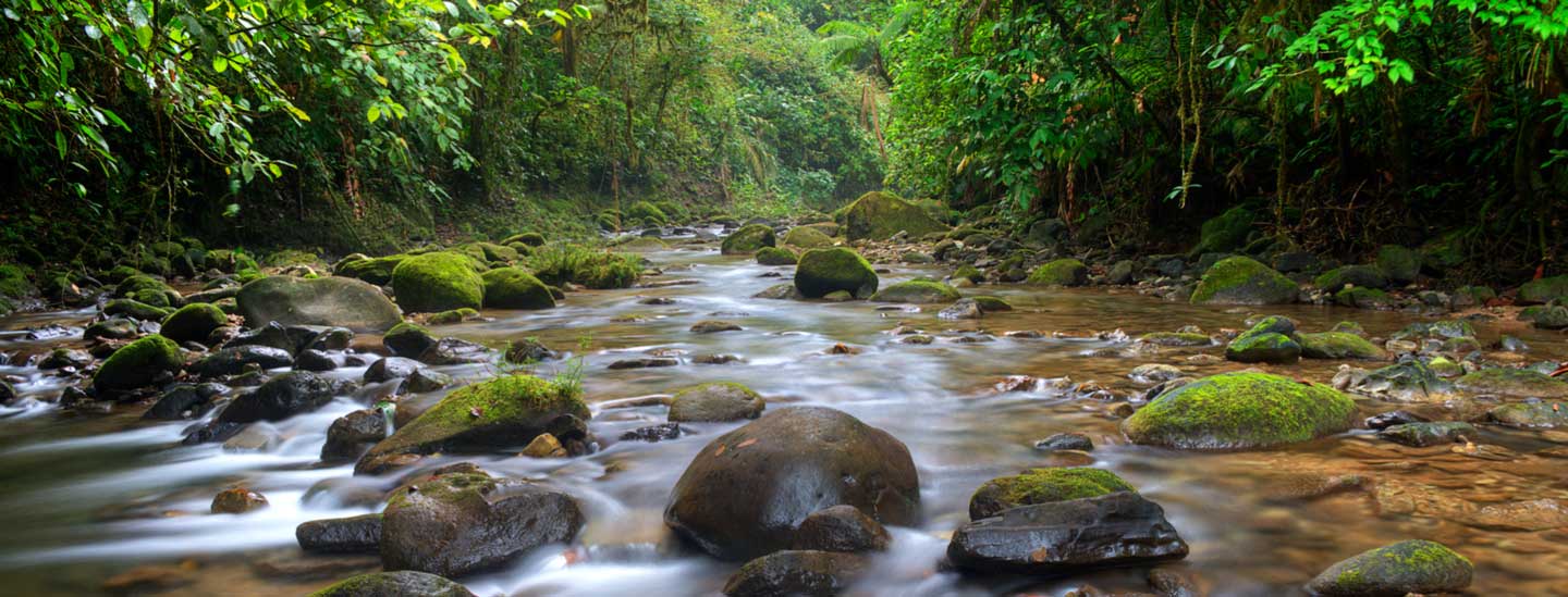 Enjoy the wonders of Barbilla National Park - Visit Costa Rica