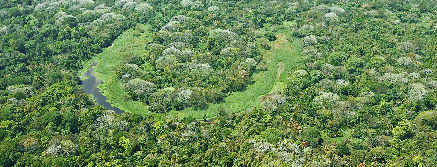 Parc national de Carara - Visite Costa Rica