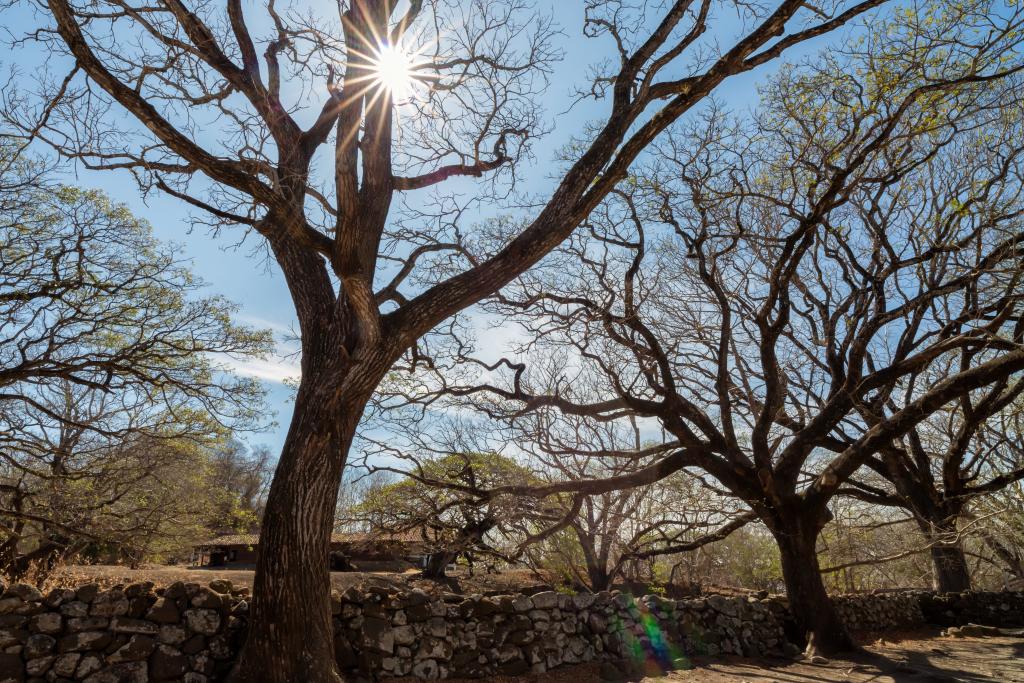 Santa Rosa National Park - Visit Costa Rica