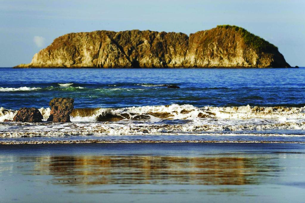 Carara National Park - Visit Costa Rica