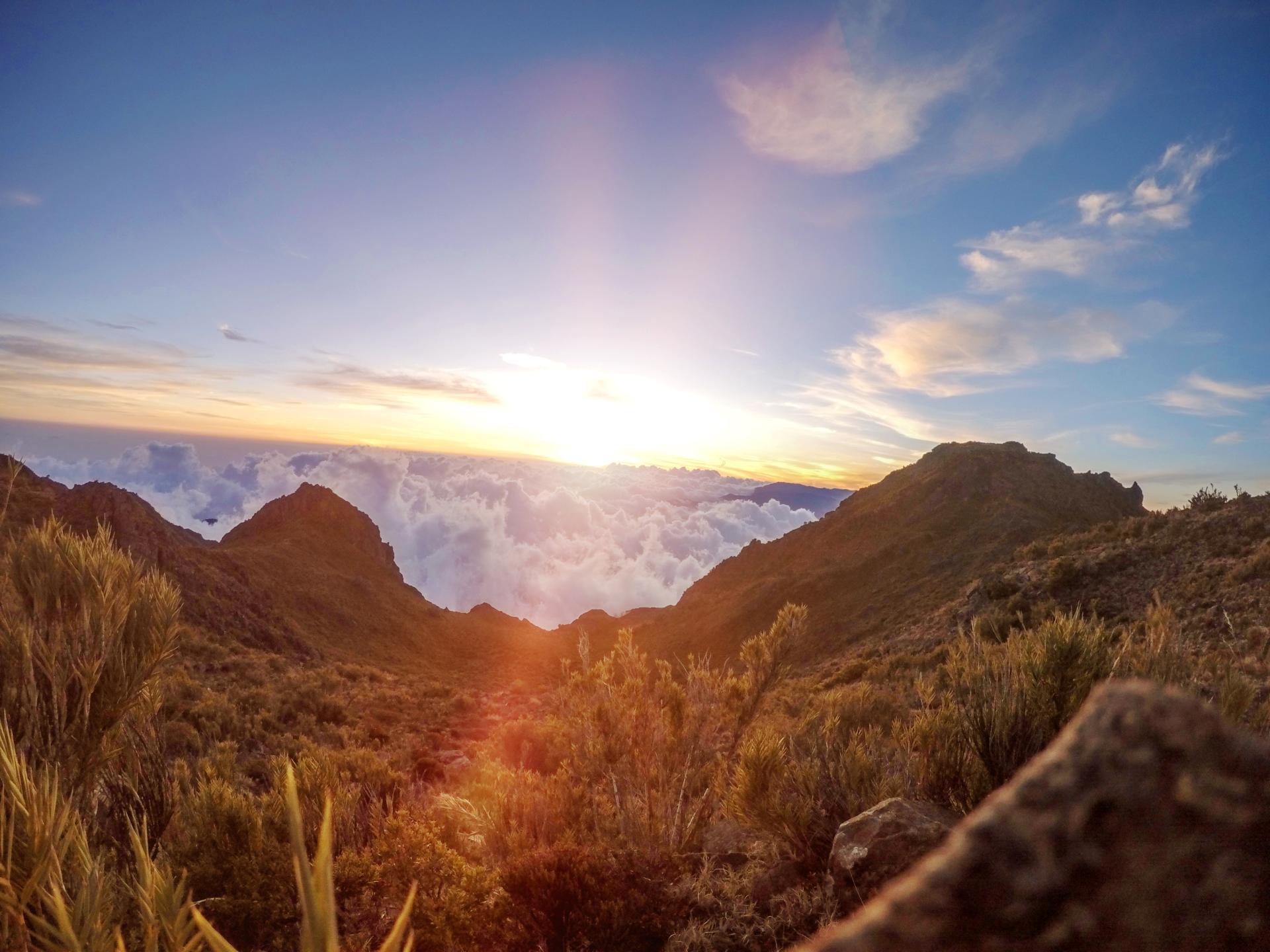 Chirripó National Park - Visit Costa Rica