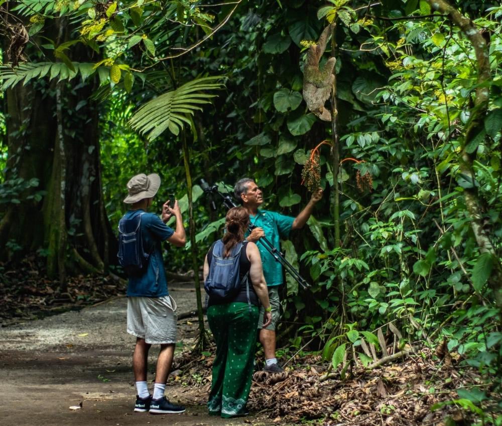 Bogarín Trail - Visit Costa Rica