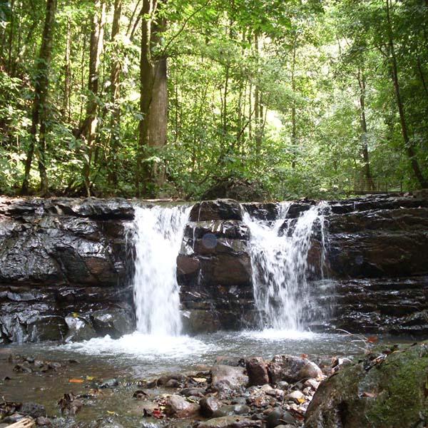 Ecotourism - Visit Costa Rica - Eco Activities, Tours & Excursions